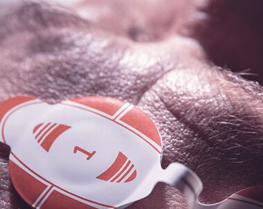 Entropy monitoring: A valuable tool for guiding delivery of anesthesia ...